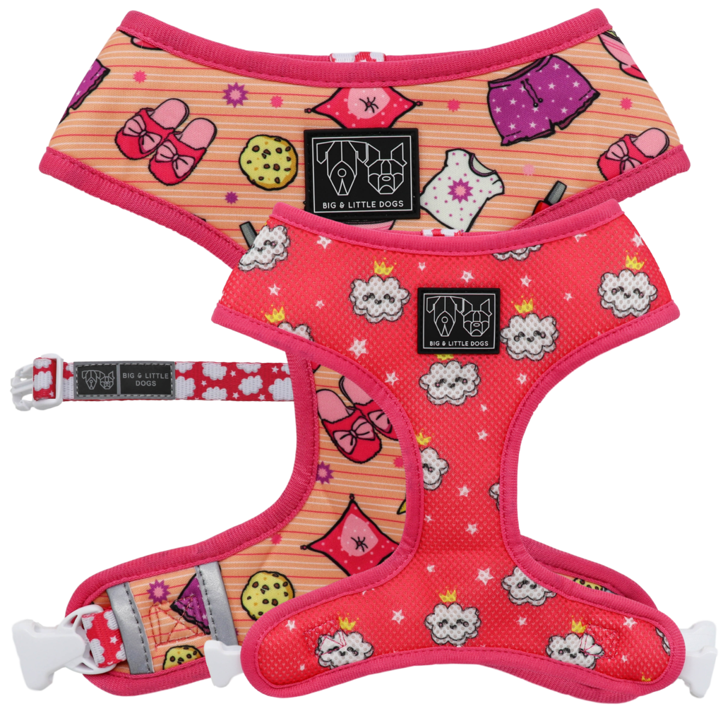 "Slumber Party" Reversible Harness– Pecan's Closet